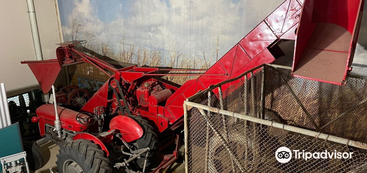 Mourilyan Travel Guide 2024 - Things to Do, What To Eat & Tips | Trip.com