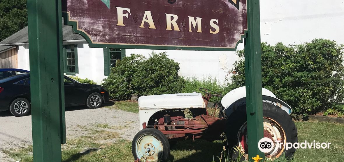 Fredon Township Travel Guide 2024 - Things to Do, What To Eat & Tips ...