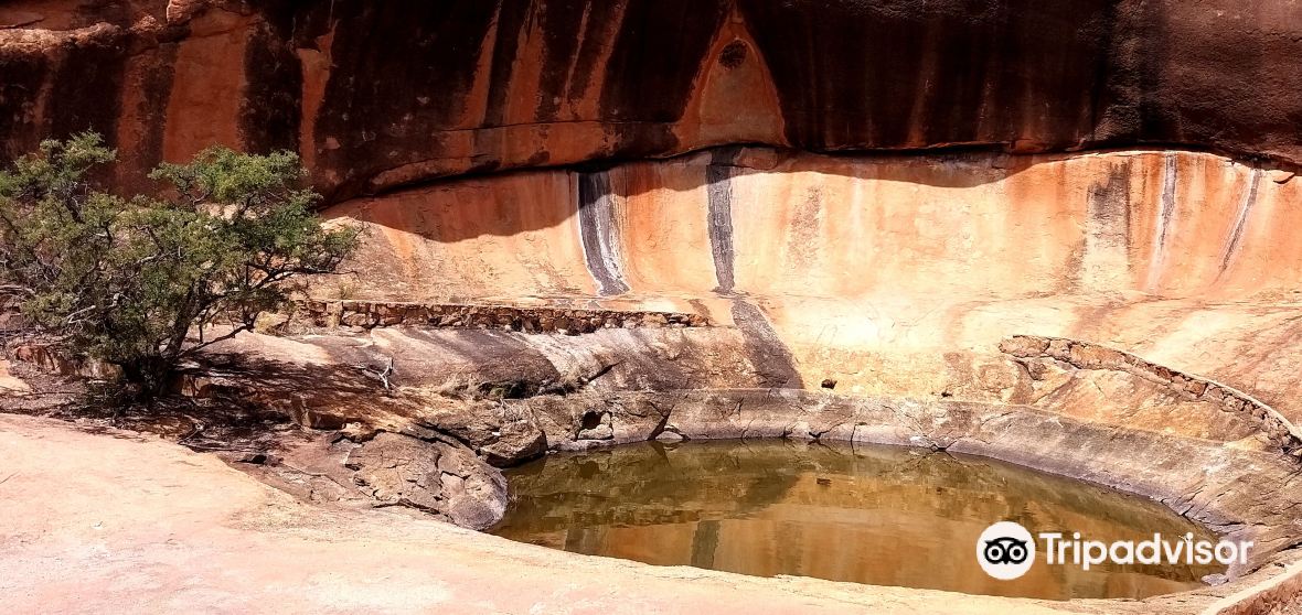 Things to Do in Bonnie Rock in 2024 - Top Attractions, Local Food ...