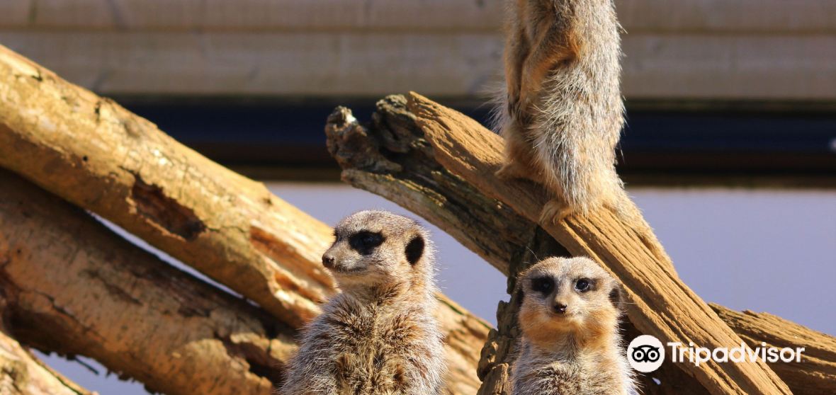 Babergh District Travel Guide 2024 - Things to Do, What To Eat & Tips ...