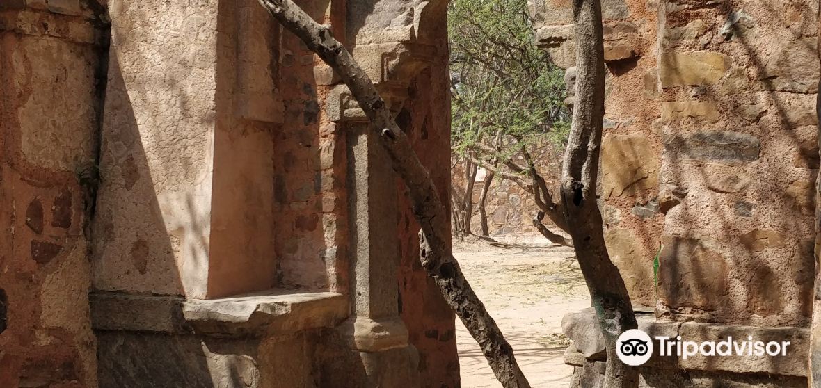 Things to Do in Central Ridge Reserve Forest in 2024 - Top Attractions ...