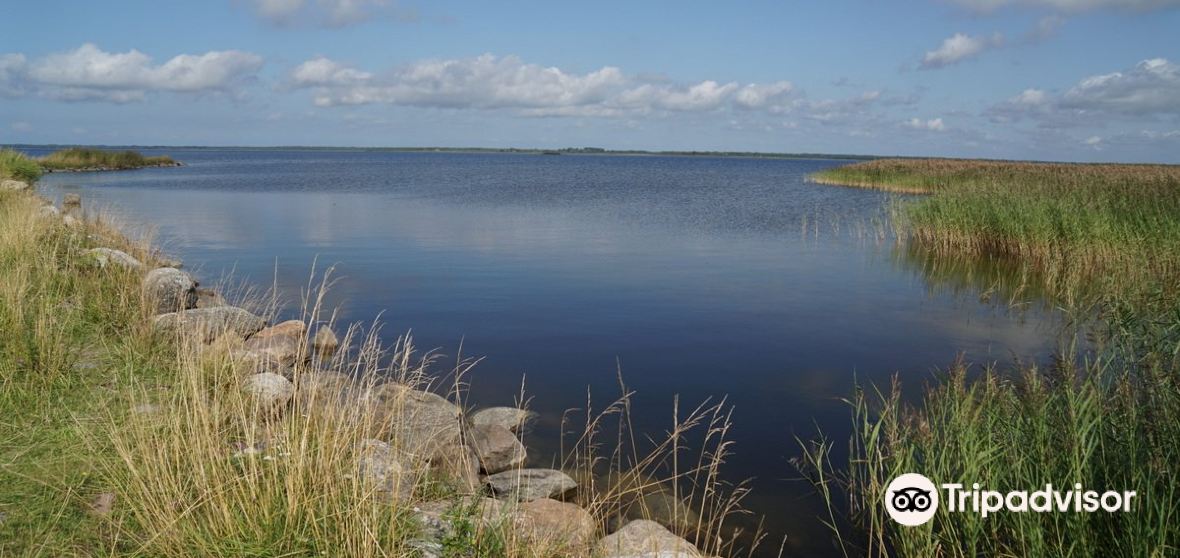 Things to Do in Lihula in 2024 - Top Attractions, Local Food, Hotels ...