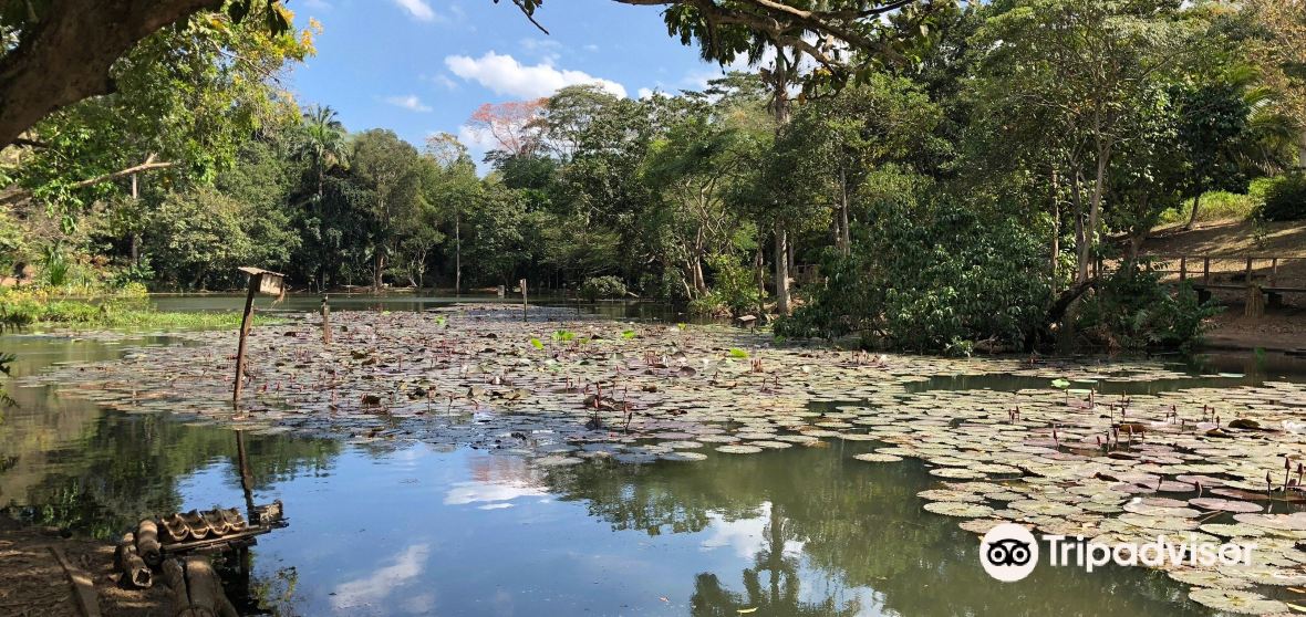 Things to Do in Couva-Tabaquite-Talparo in 2024 - Top Attractions ...