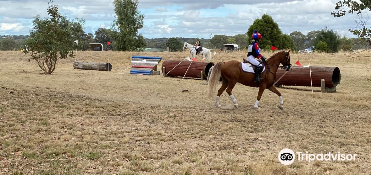 Things to do in Yarrambat (2025): Top nearby activities,popular ...