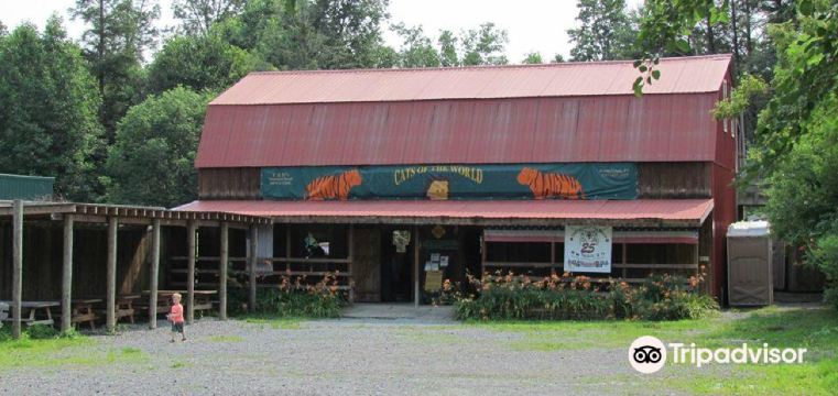 Things to Do in Snyder County in 2025 - Top Attractions, Local Food ...