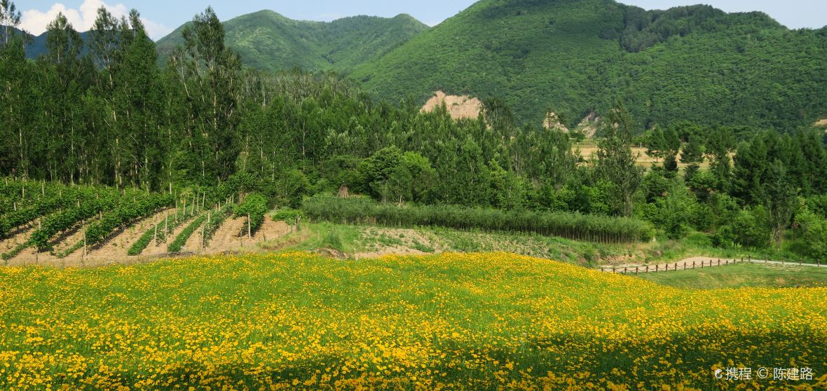 Jiangxi independent travel guide (2025): top things to do, popular ...