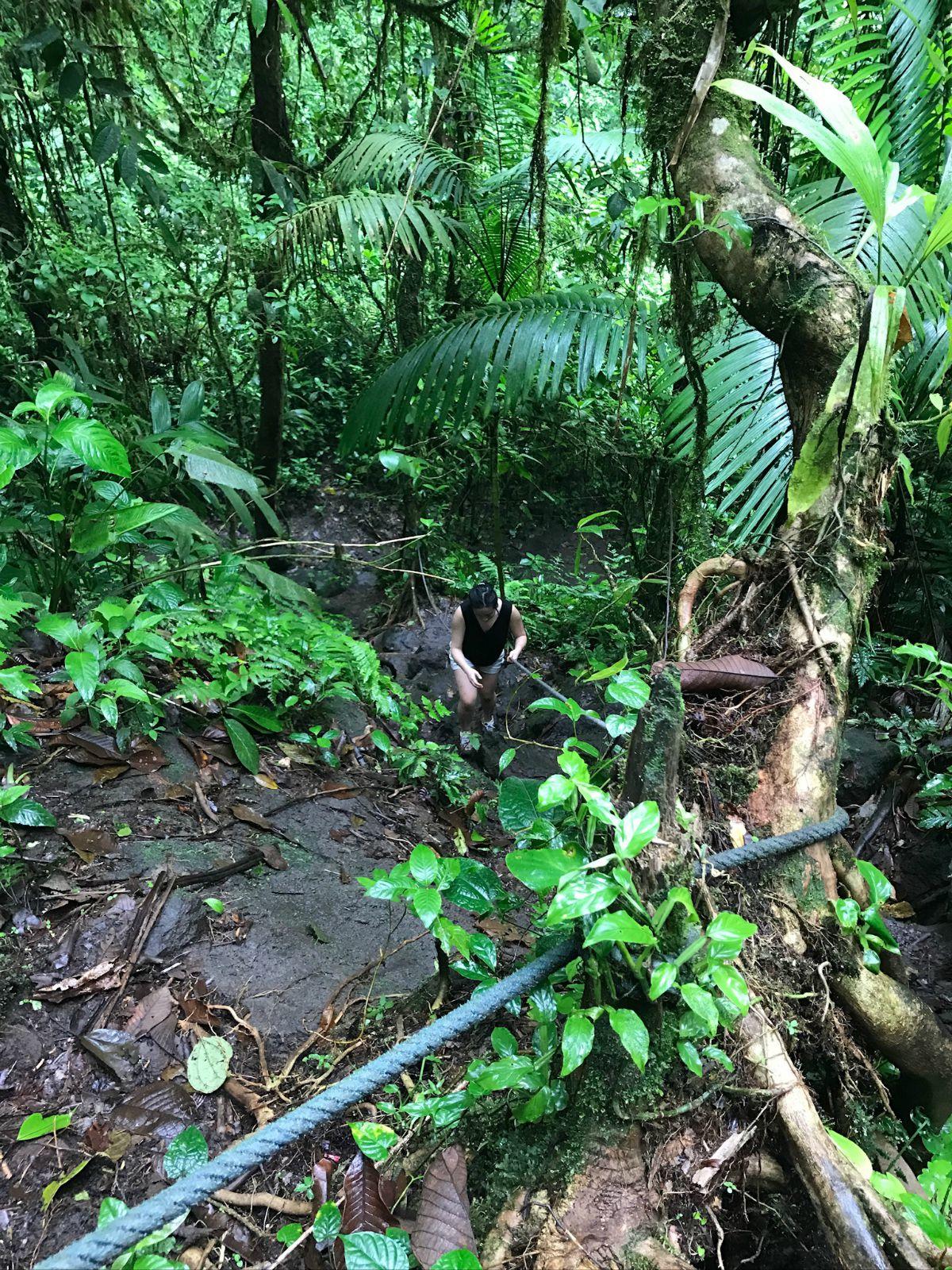 Cerro Chato (Chato Volcano): ภาพถ่าย, แผนที่ & รีวิว [2023] | Trip.com