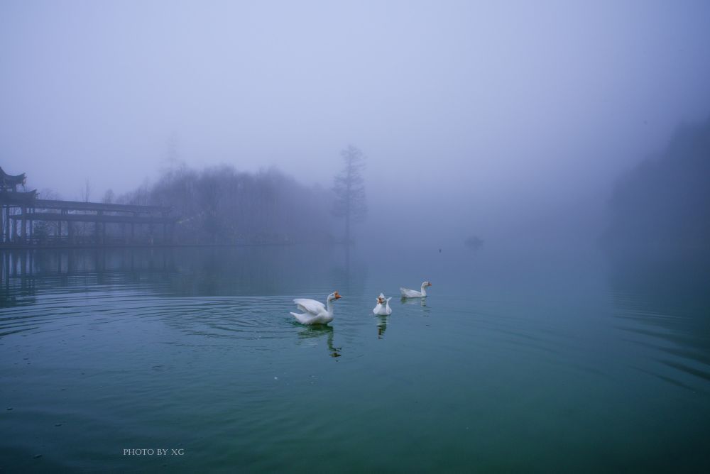 Longnan 2022 Top Things to Do - Longnan Travel Guides - Top Recommended ...