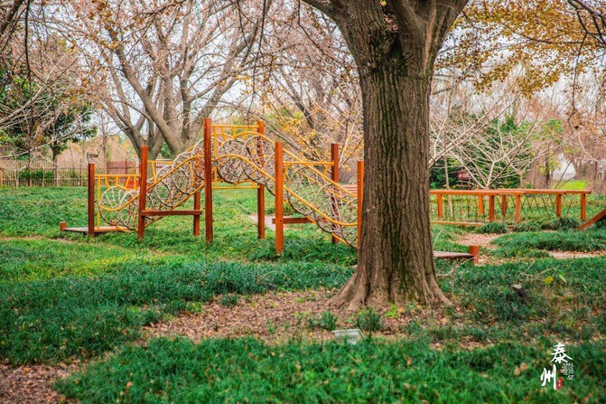 Taixing 2023 Top Things to Do - Taixing Travel Guides - Top Recommended ...