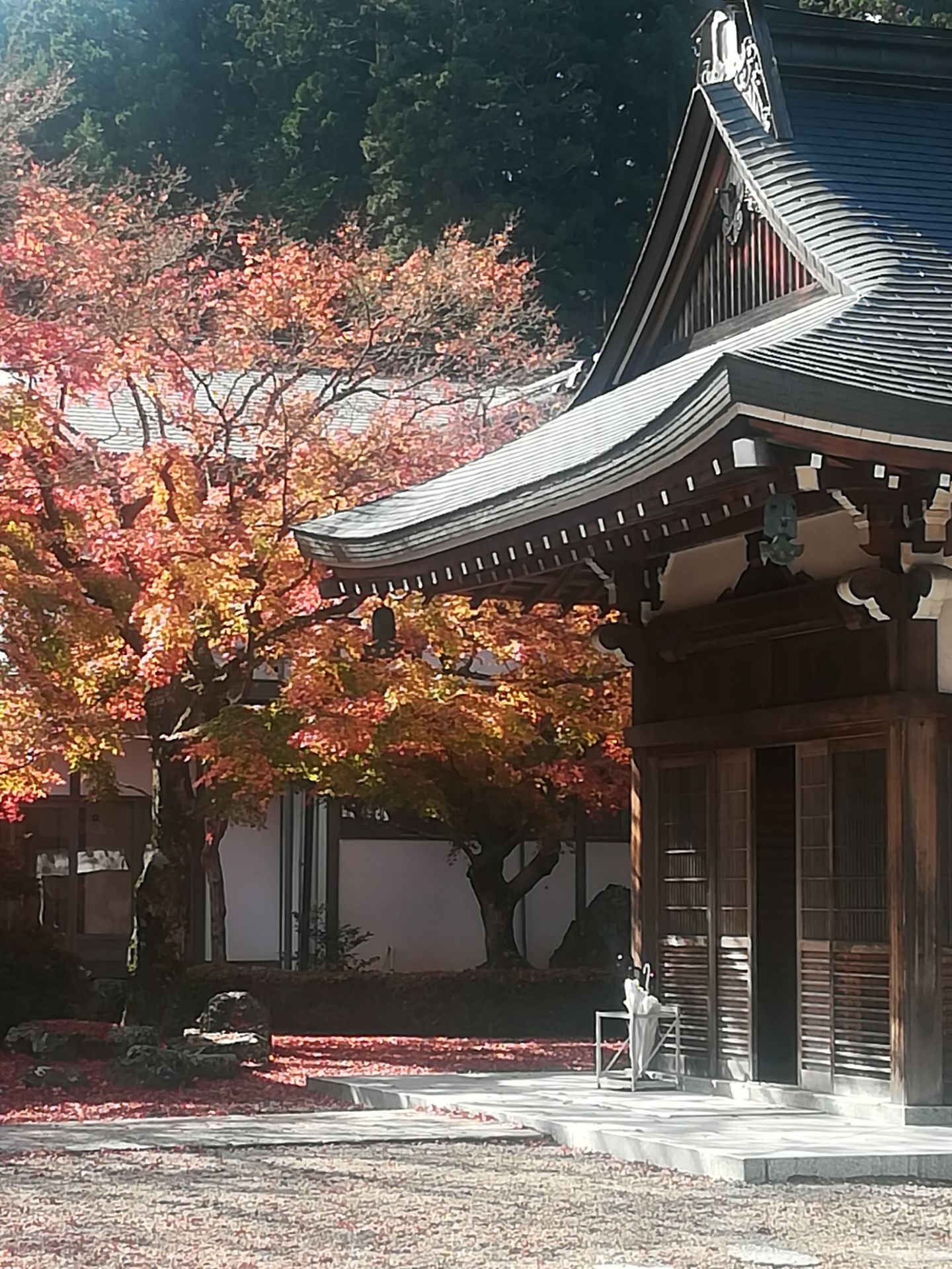 Koya Travel Guide 2023 - Things to Do, What To Eat & Tips | Trip.com