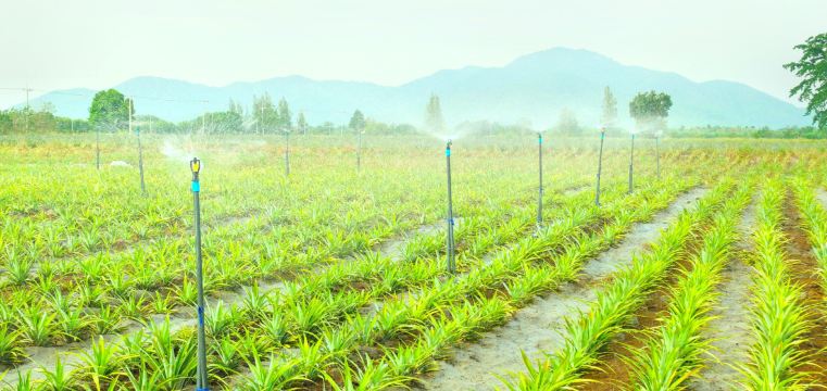 Things to Do in Woombye in 2024 - Top Attractions, Local Food, Hotels ...