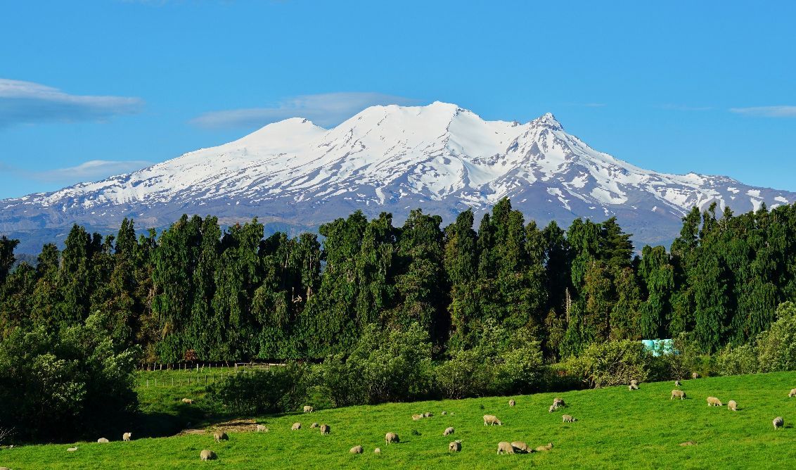 Ohakune Travel Guide 2023 - Things to Do, What To Eat & Tips | Trip.com
