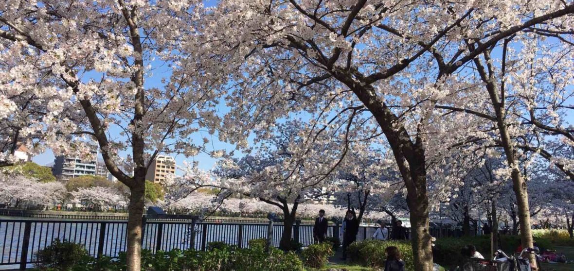 Settsu Travel Guide 2024 - Things to Do, What To Eat & Tips | Trip.com