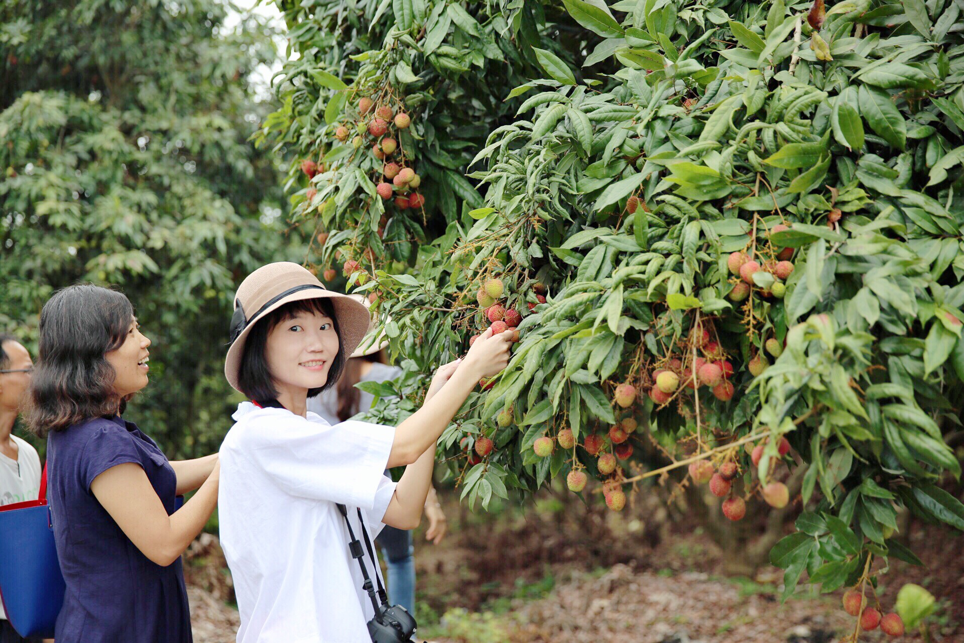 Zengcheng District Travel Guide 2023 - Things to Do, What To Eat & Tips ...