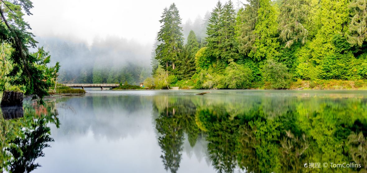 Things to do in Montesano (2025): Top nearby activities,popular ...