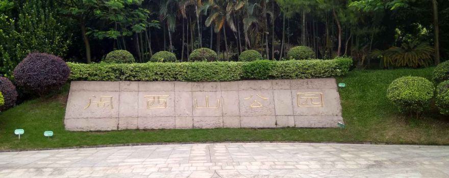 Things to Do in Shatian Town in 2025 - Top Attractions, Local Food ...