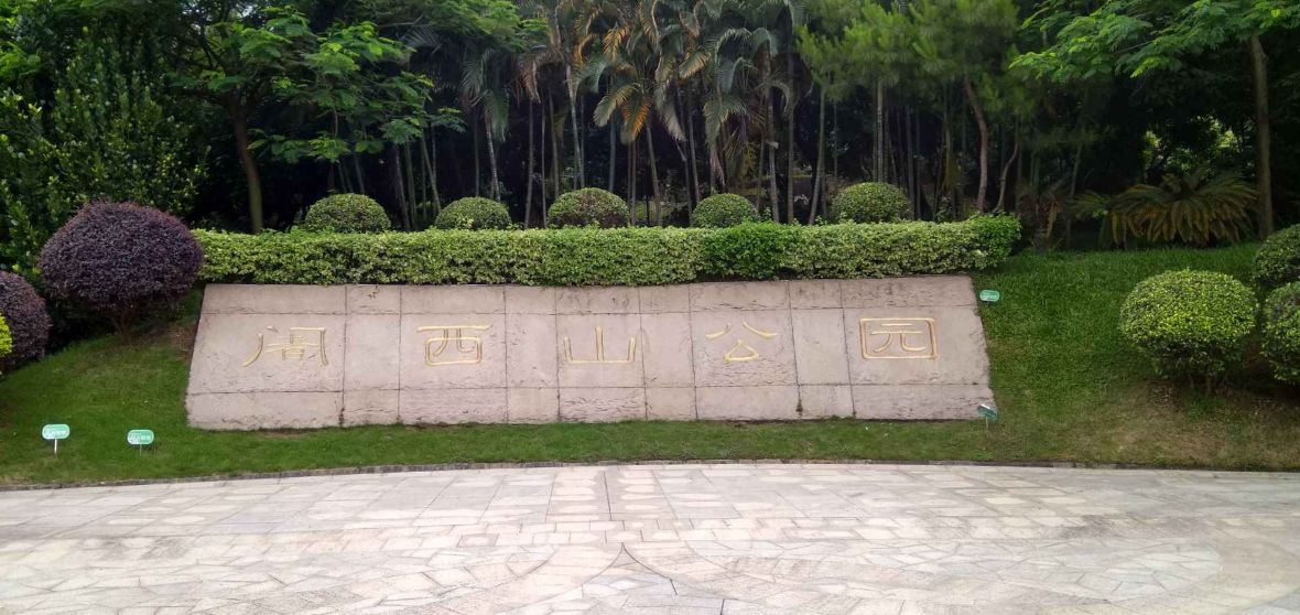 Things to do in Shatian Town (2025): Top nearby activities,popular ...