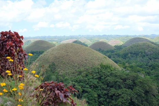 Burol Sa Bohol