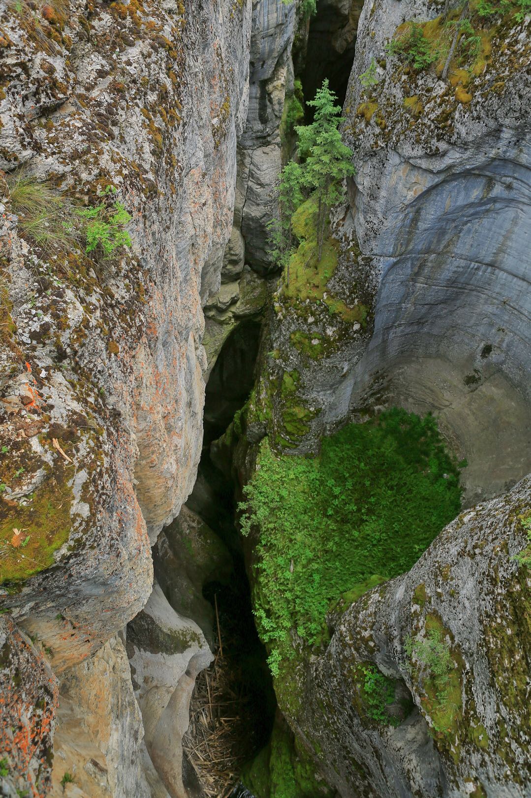 Jasper National Park 2023 Top Things to Do - Jasper National Park ...