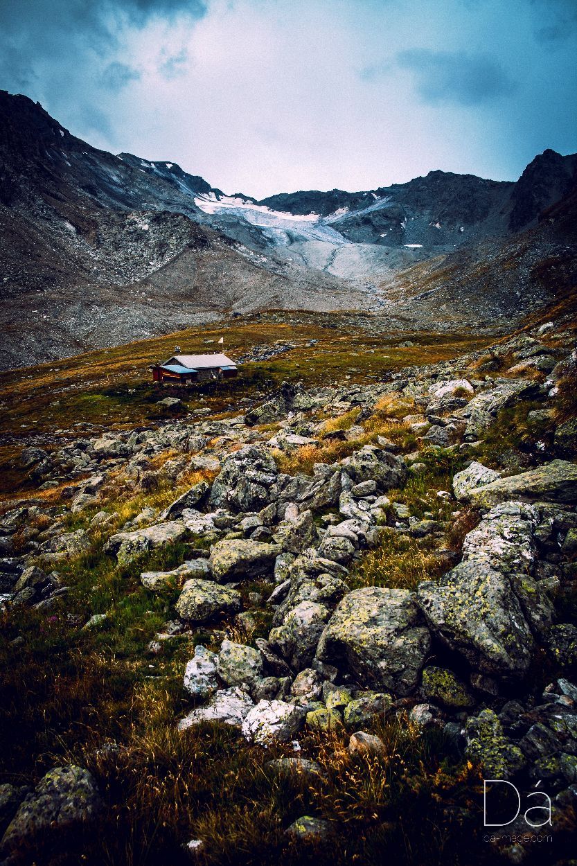 Swiss Alps Travel Guide 2023 - Things to Do, What To Eat & Tips | Trip.com