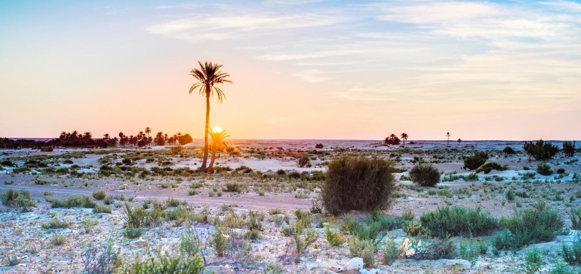 Kebili Travel Guide 2024 - Things to Do, What To Eat & Tips | Trip.com