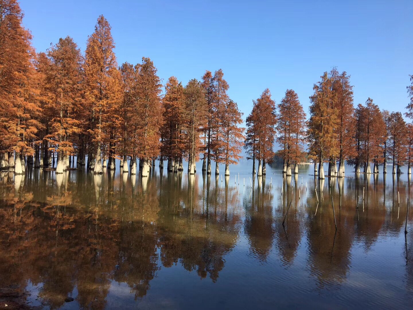 Yuhang District Travel Guide 2023 - Things to Do, What To Eat & Tips ...