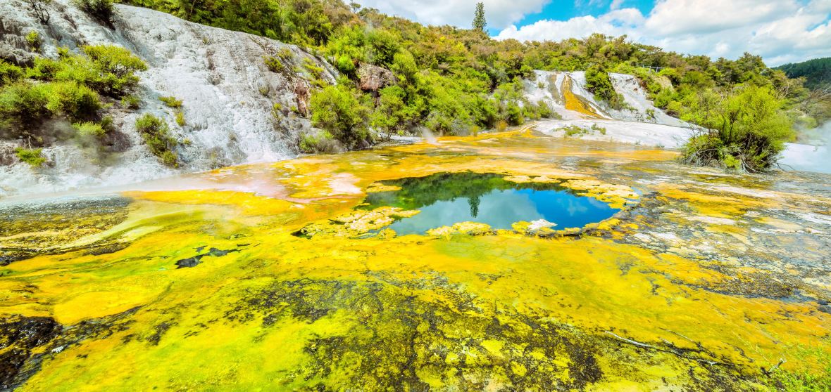 Things to do in Reporoa (2025): Top nearby activities,popular ...