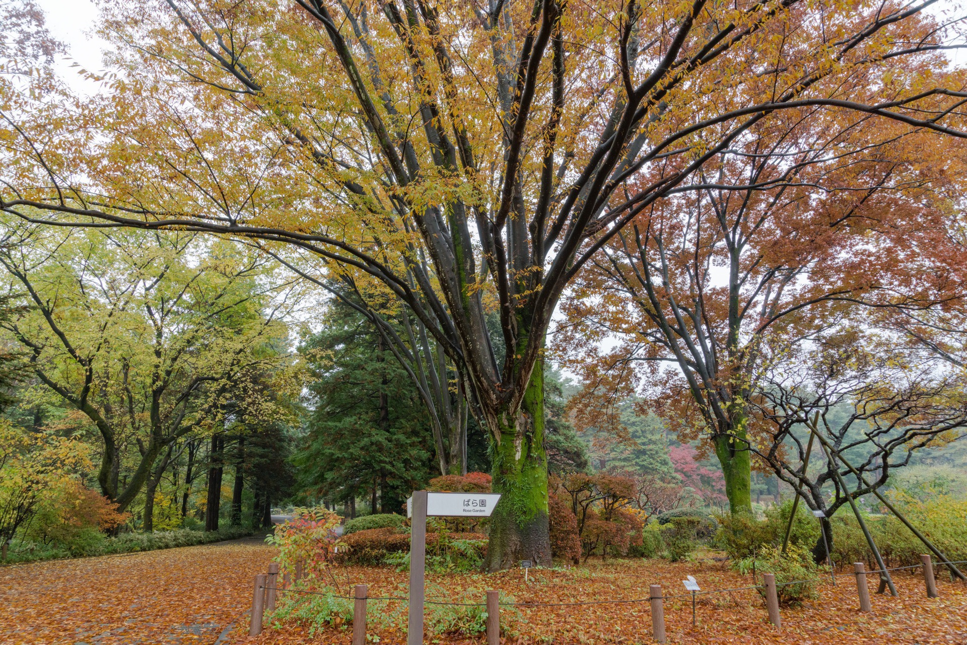 Chofu Travel Guide 2023 - Things to Do, What To Eat & Tips | Trip.com