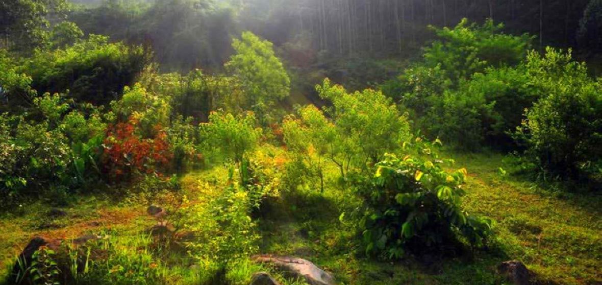 Things to do in Guigang (2025): Top nearby activities,popular ...