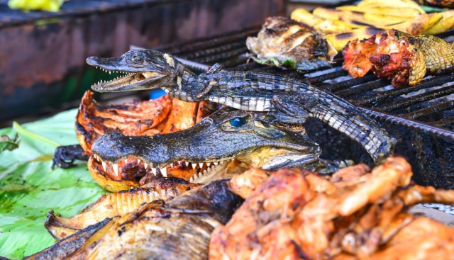 Leticia Travel Guide 2023 - Things to Do, What To Eat & Tips | Trip.com