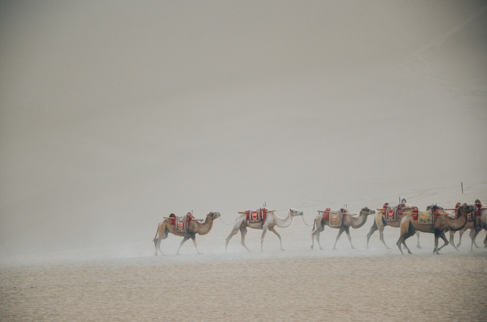 Balikun Travel Guide 2023 - Things to Do, What To Eat & Tips | Trip.com