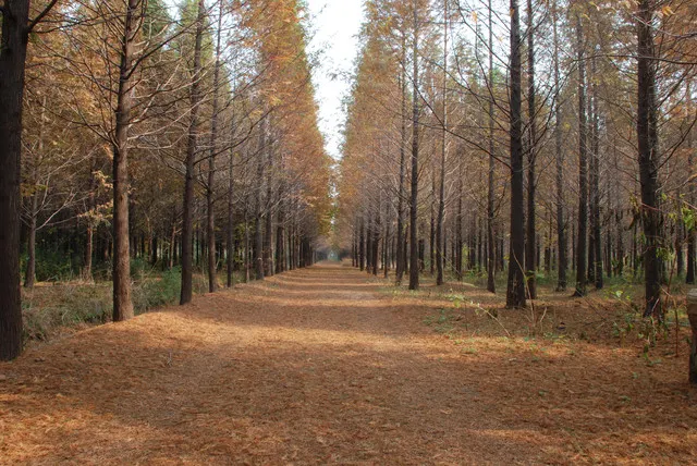 10 Must-Visit Scenic Spots in Rizhao - Trip.com