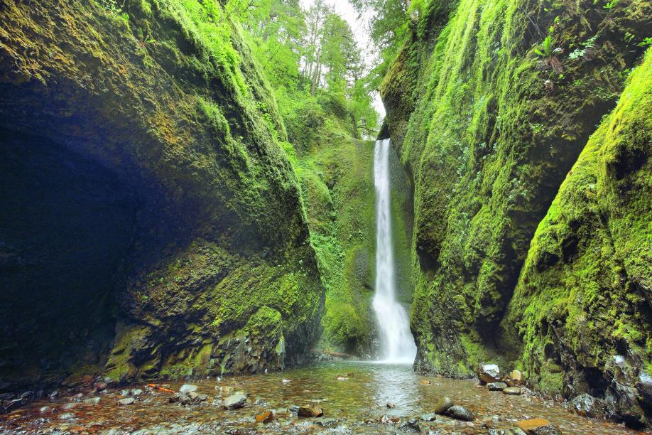 Closest Hotels Near Multnomah Falls - Multnomah County | Trip.com