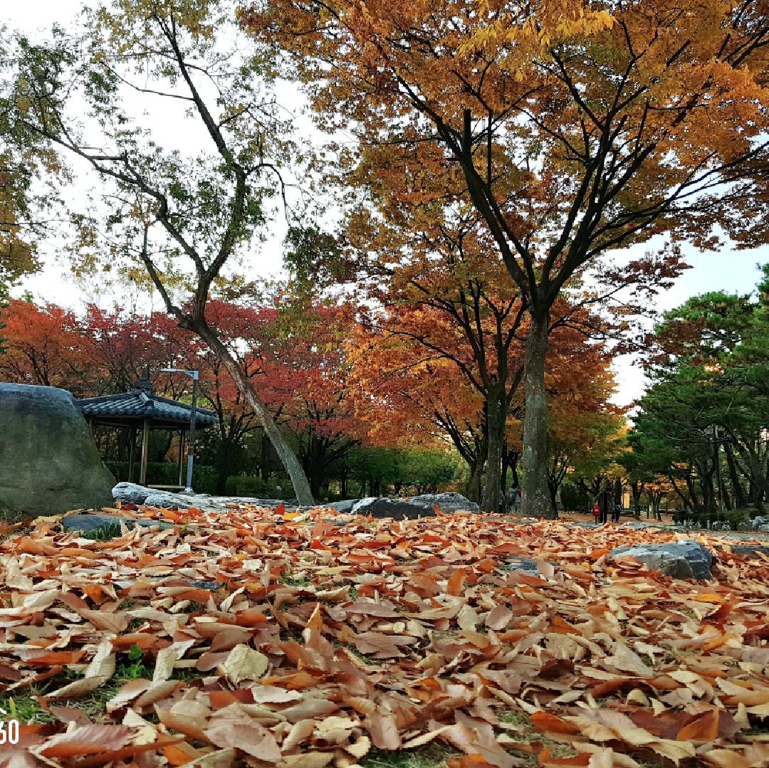 Bucheon-si Travel Guide 2024 - Things to Do, What To Eat & Tips | Trip.com