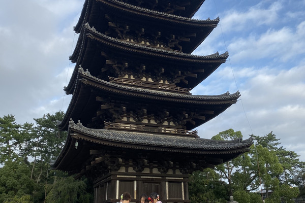 nara park . october trip , one | Trip.com Nara