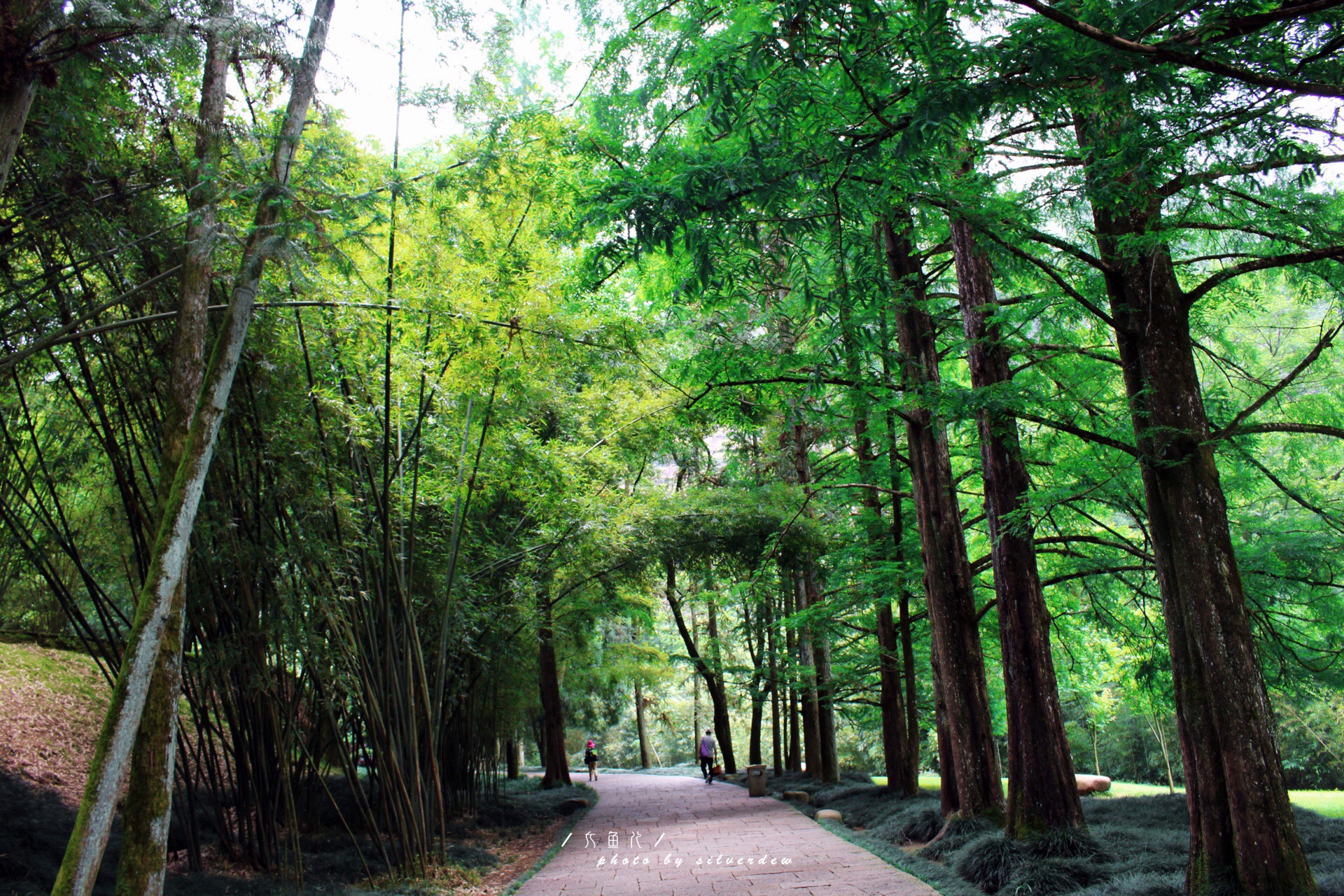 Nanping Travel Guide 2023 - Things to Do, What To Eat & Tips | Trip.com