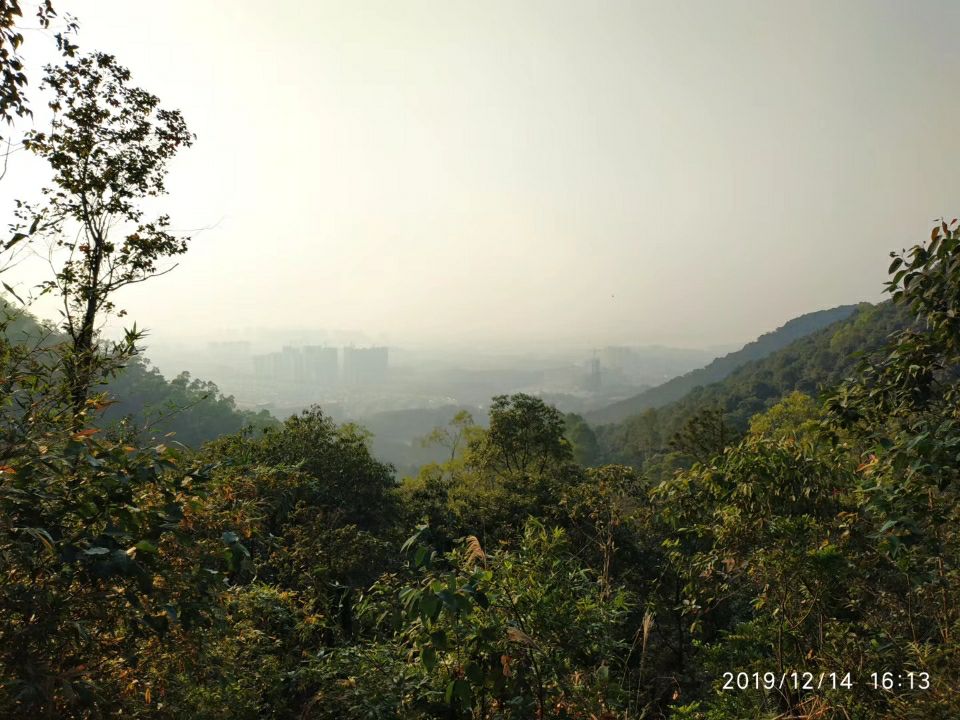 Jiangmen Travel Guide 2023 - Things to Do, What To Eat & Tips | Trip.com