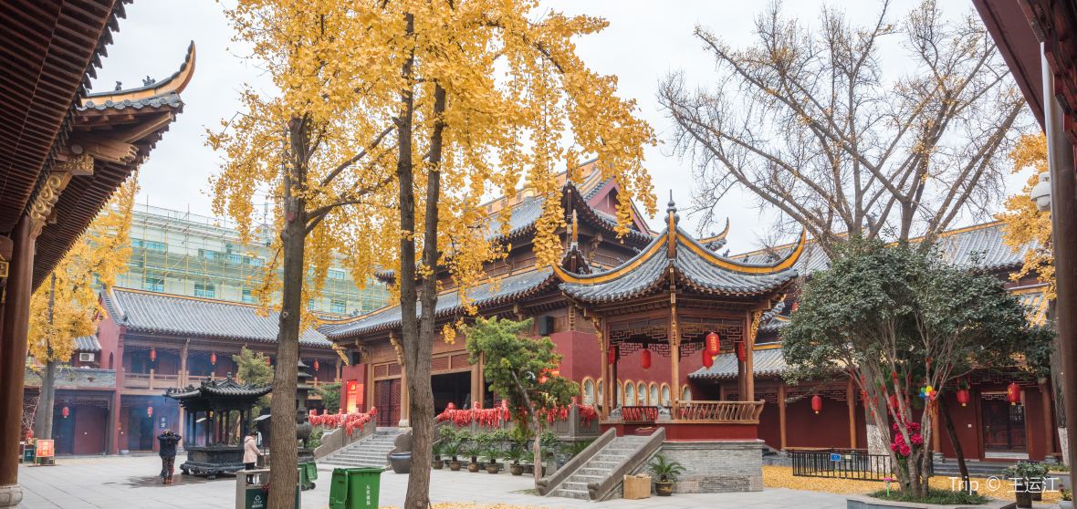 Things to Do in Luyang District in 2025 - Top Attractions, Local Food ...