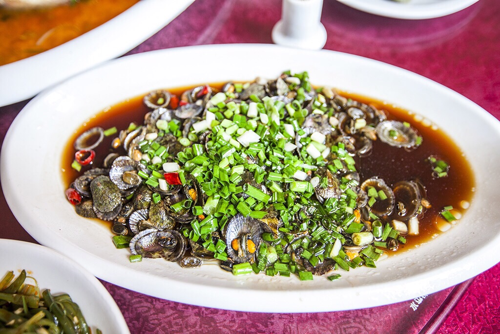 Dongtou District Travel Guide 2023 - Things to Do, What To Eat & Tips ...