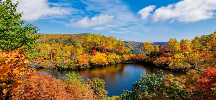 Hokkaido's Breathtaking Fall Scenery travel notes and guides – Trip.com ...