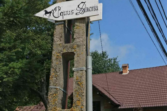 In Sinca Noua, Romania in the | Trip.com Romania