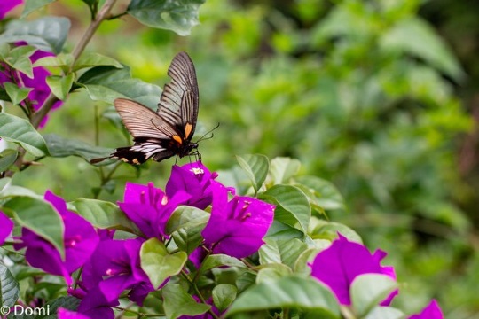 Yanhe Travel Guide 2023 - Things to Do, What To Eat & Tips | Trip.com