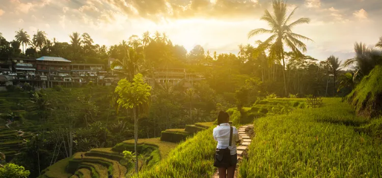 What To Do In Ubud With The Kids: 3 Easy Treks For The Family - Trip.com