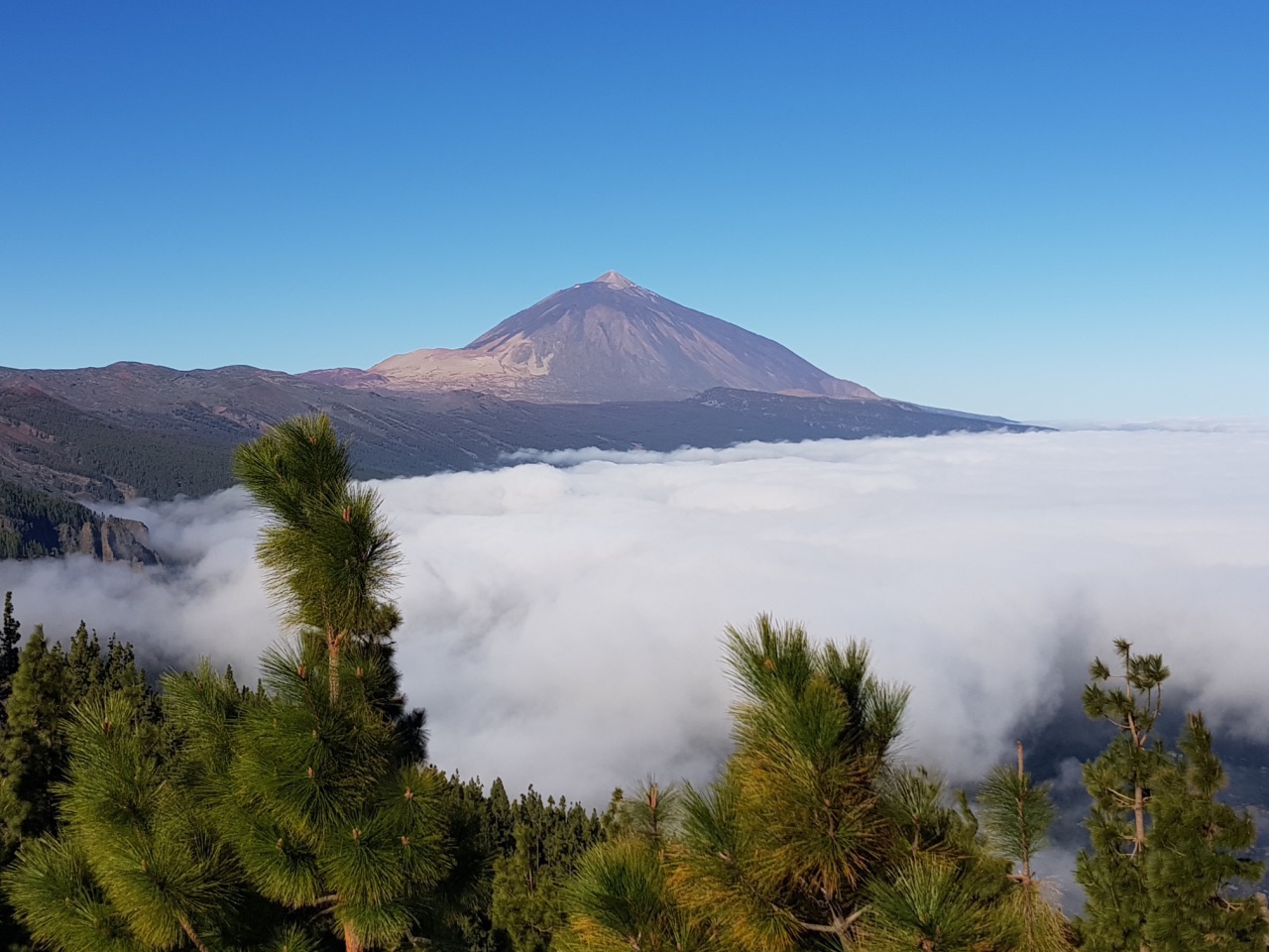 【2023特內里費島自由行】特內里費島旅遊攻略:熱門推薦特內里費島景點門票、飯店與必吃美食