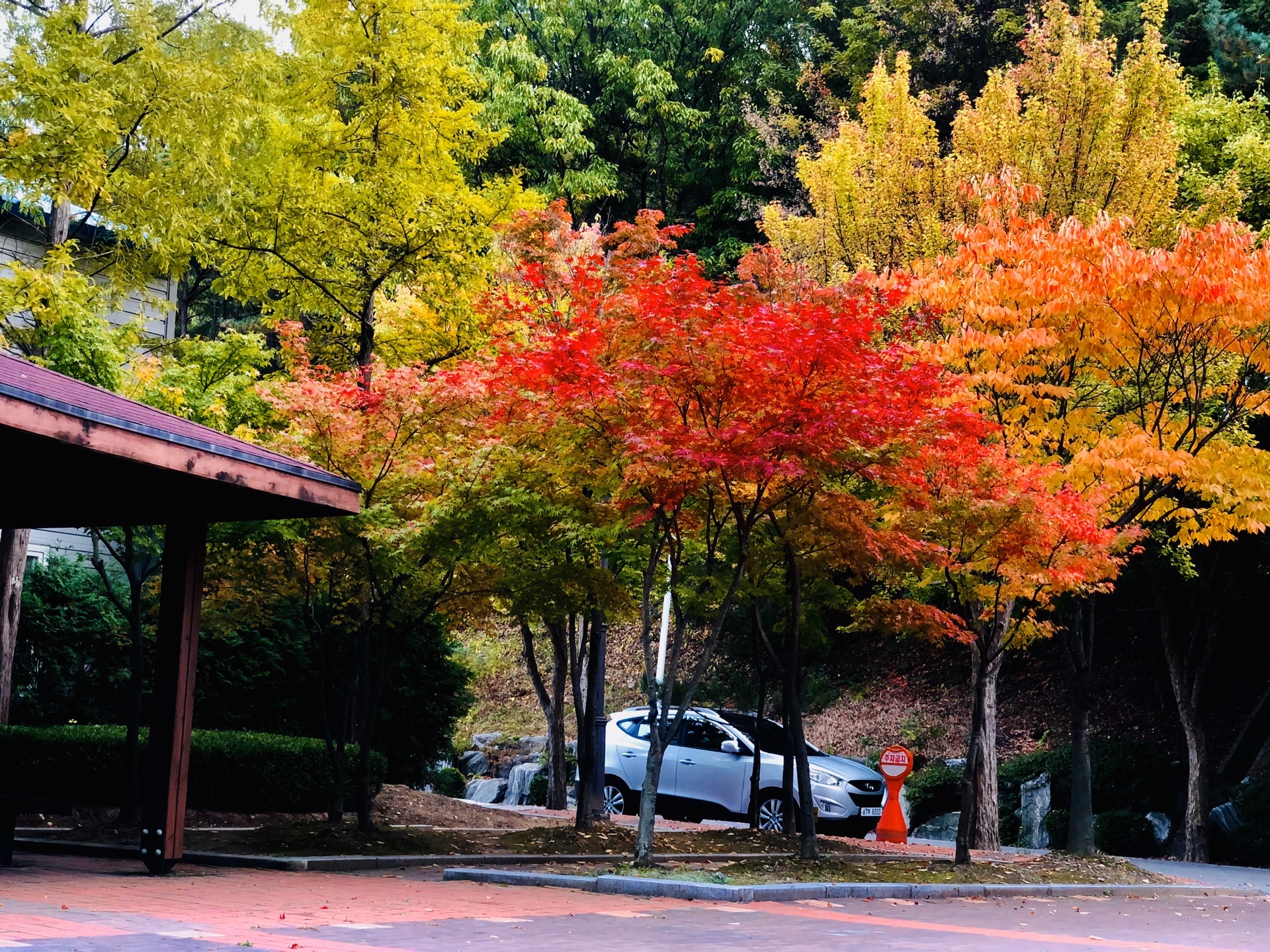 Chungcheongbuk-do Travel Guide 2024 - Things to Do, What To Eat & Tips ...