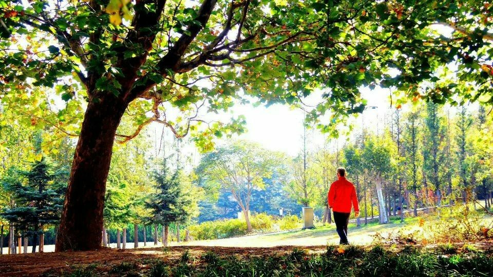 réductions sur les billets de Xishan Hongyan Reservoir, prix et frais ...