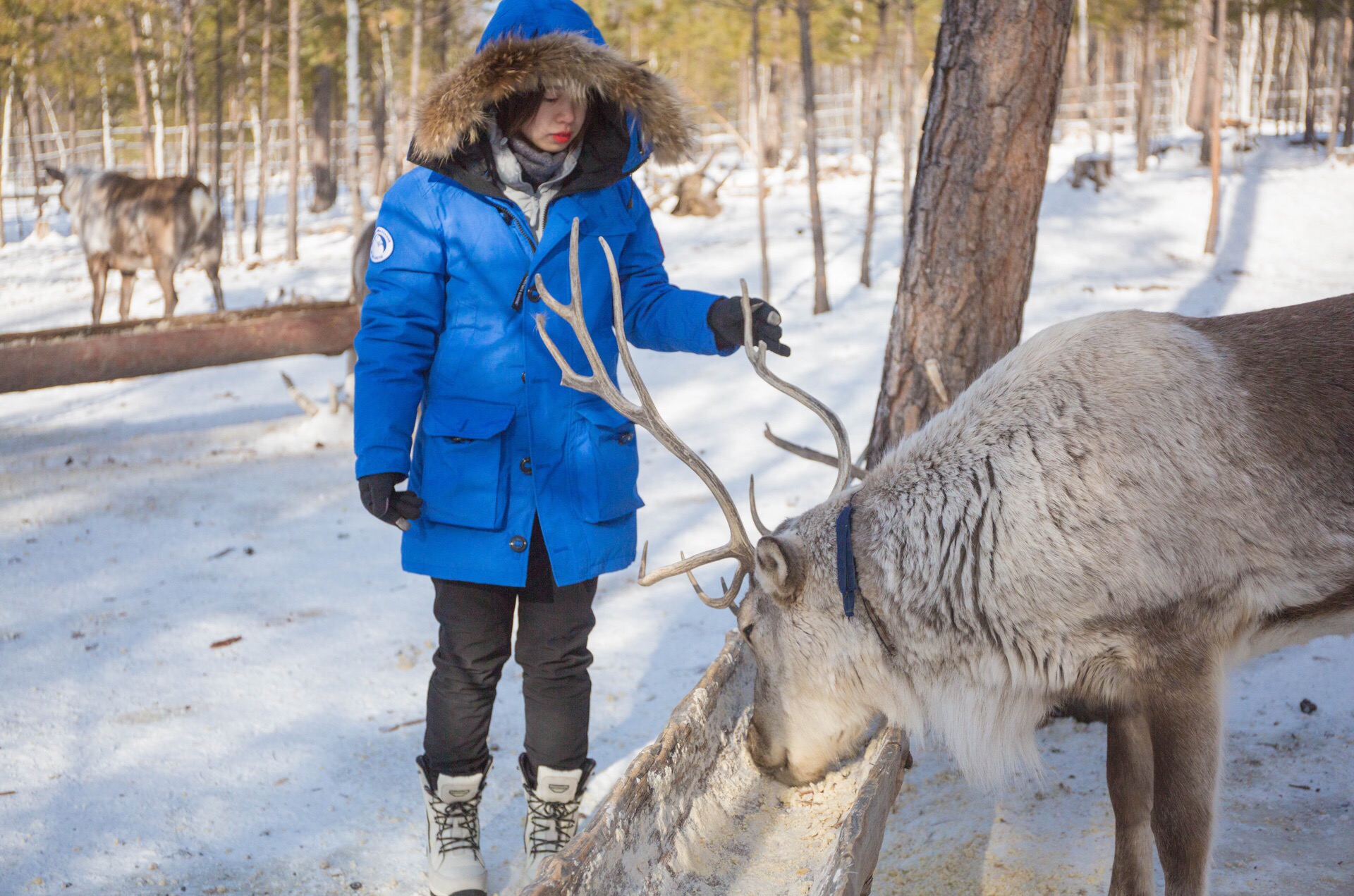 Mohe 2023 Top Things to Do - Mohe Travel Guides - Top Recommended Mohe ...