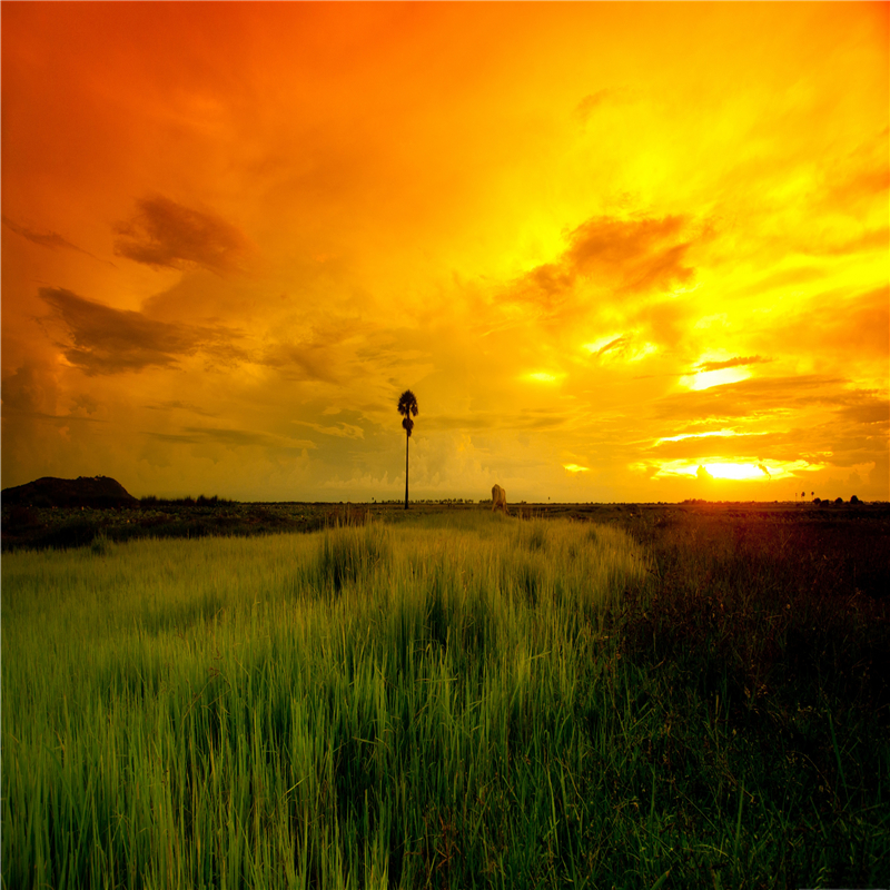 | Trip.com Jiashan Travelogues