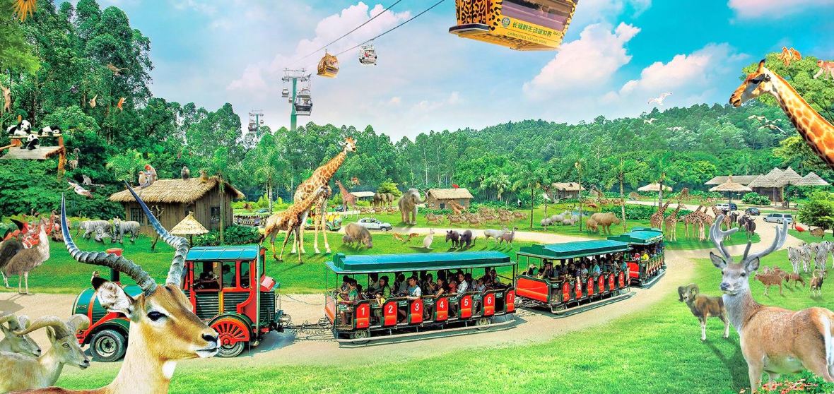 Things to do in Panyu District (2025): Top nearby activities,popular ...