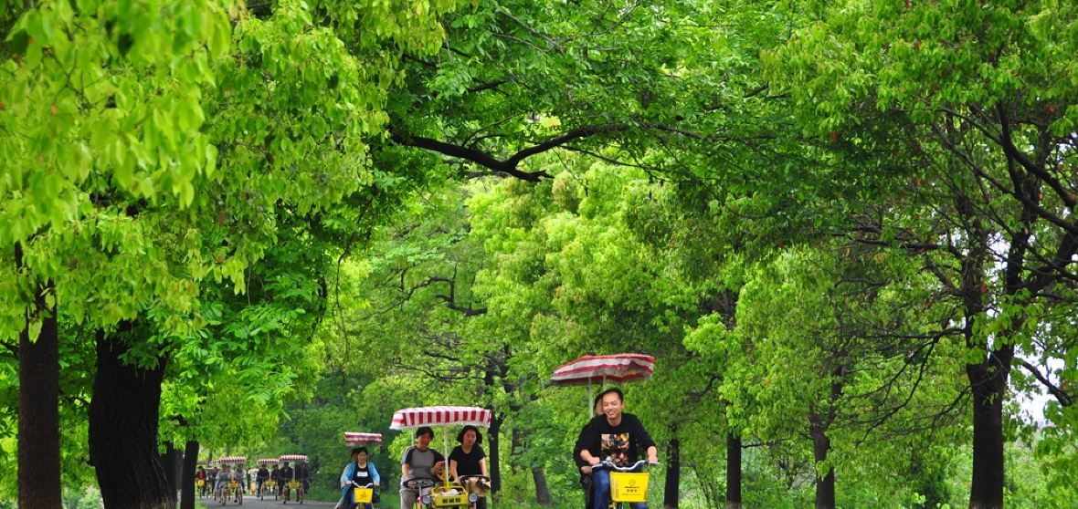 Things to Do in Haining in 2024 - Top Attractions, Local Food, Hotels ...